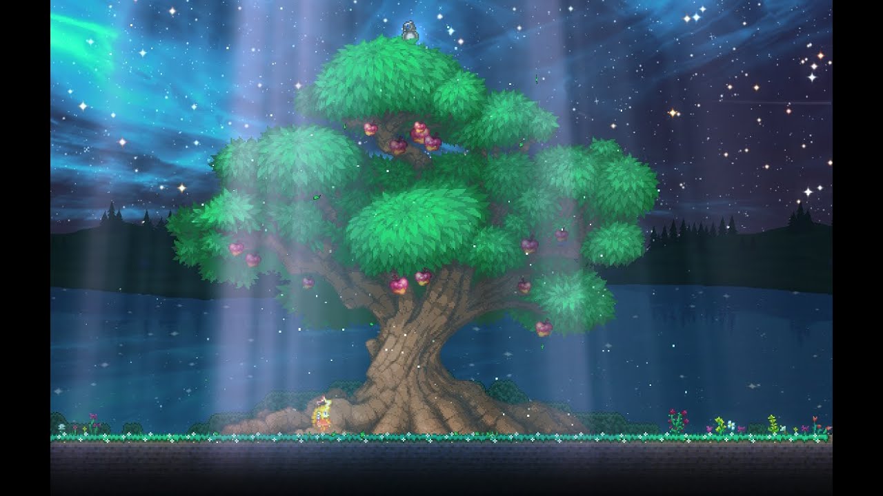 ได้เวลาตามหาสมุดที่หายไปของ solyn แล้ว( Terraria Calamity Infernum Live ...