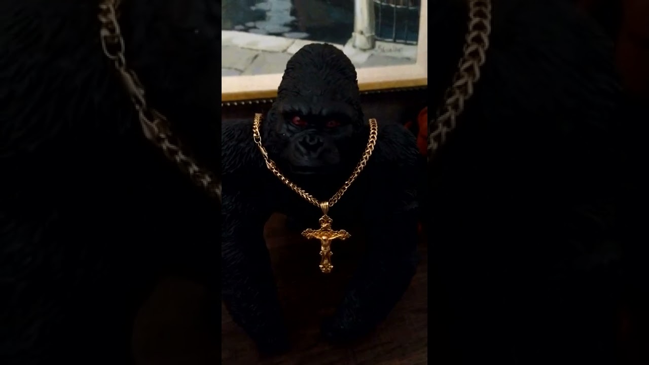 This is a true AMC APE! Learn from him weak Apes giving up on AMC! #amc ...