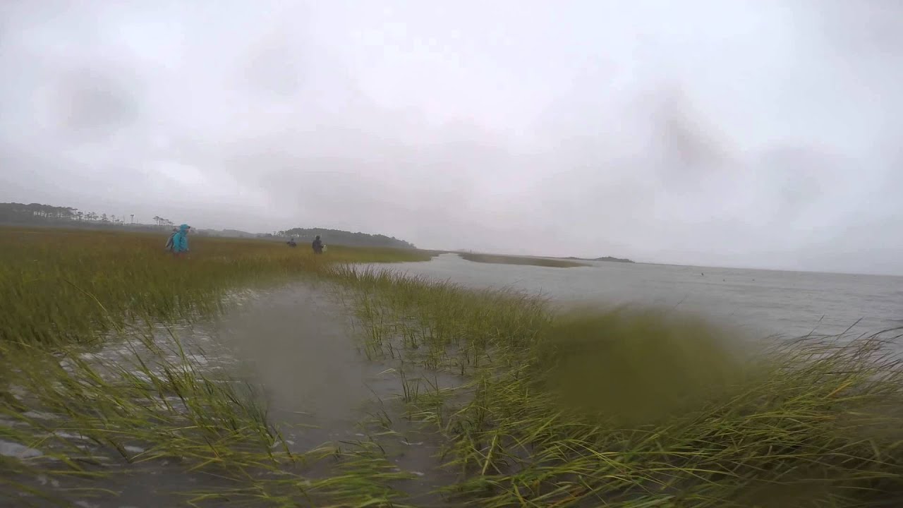 Coastal Storms: Wetlands hydrodynamics under storm conditions - YouTube