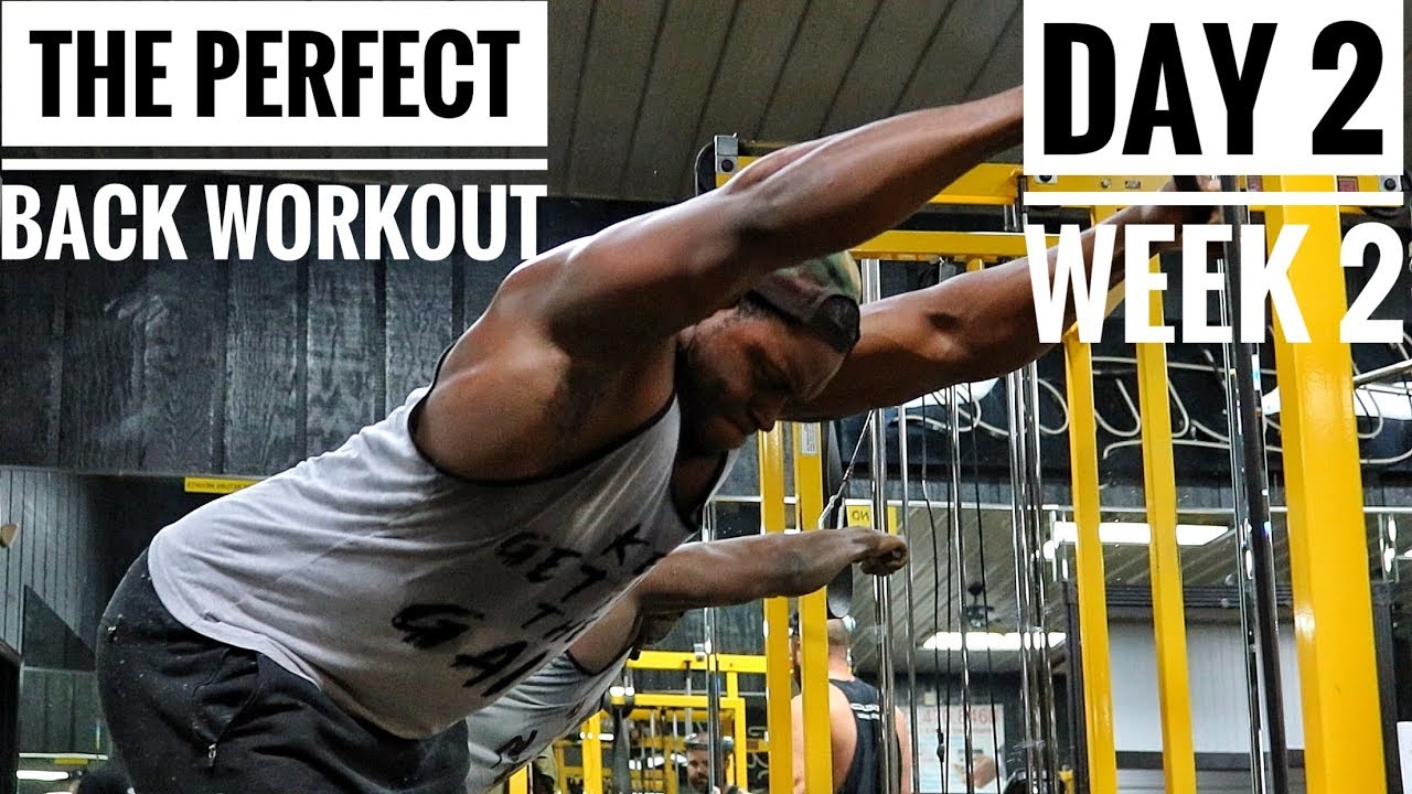 The Perfect Back Workout | Day 2 - Week 2 - YouTube