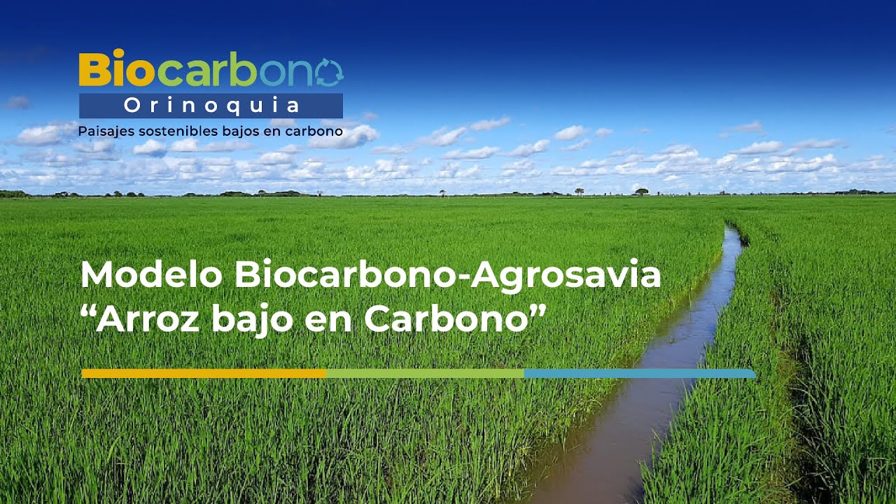 Modelo Biocarbono - Agrosavia "Producción de arroz bajo en Carbono ...