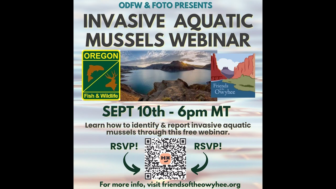Invasive Aquatic Mussels Webinar with ODFW - YouTube