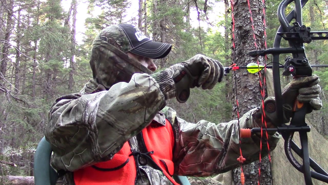 Dany Simard Chasse à l'ours à l'arc 2018 - YouTube