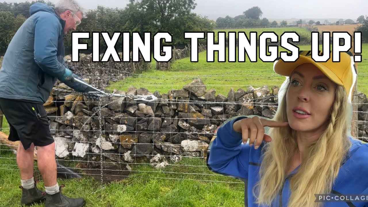 THIS SHOULD STOP THEM! - YouTube