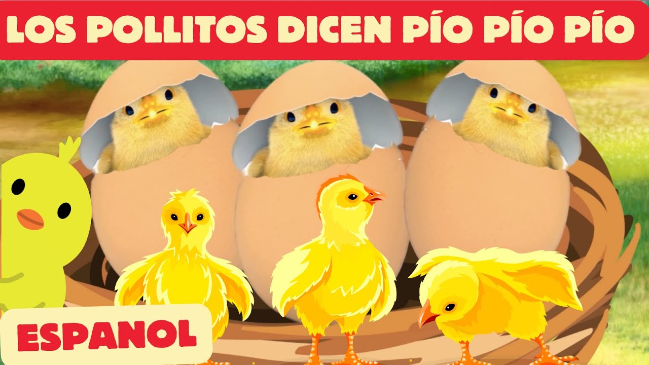 Los Pollitos Dicen - Canción para Niños de Sudamérica | Los Pollitos ...