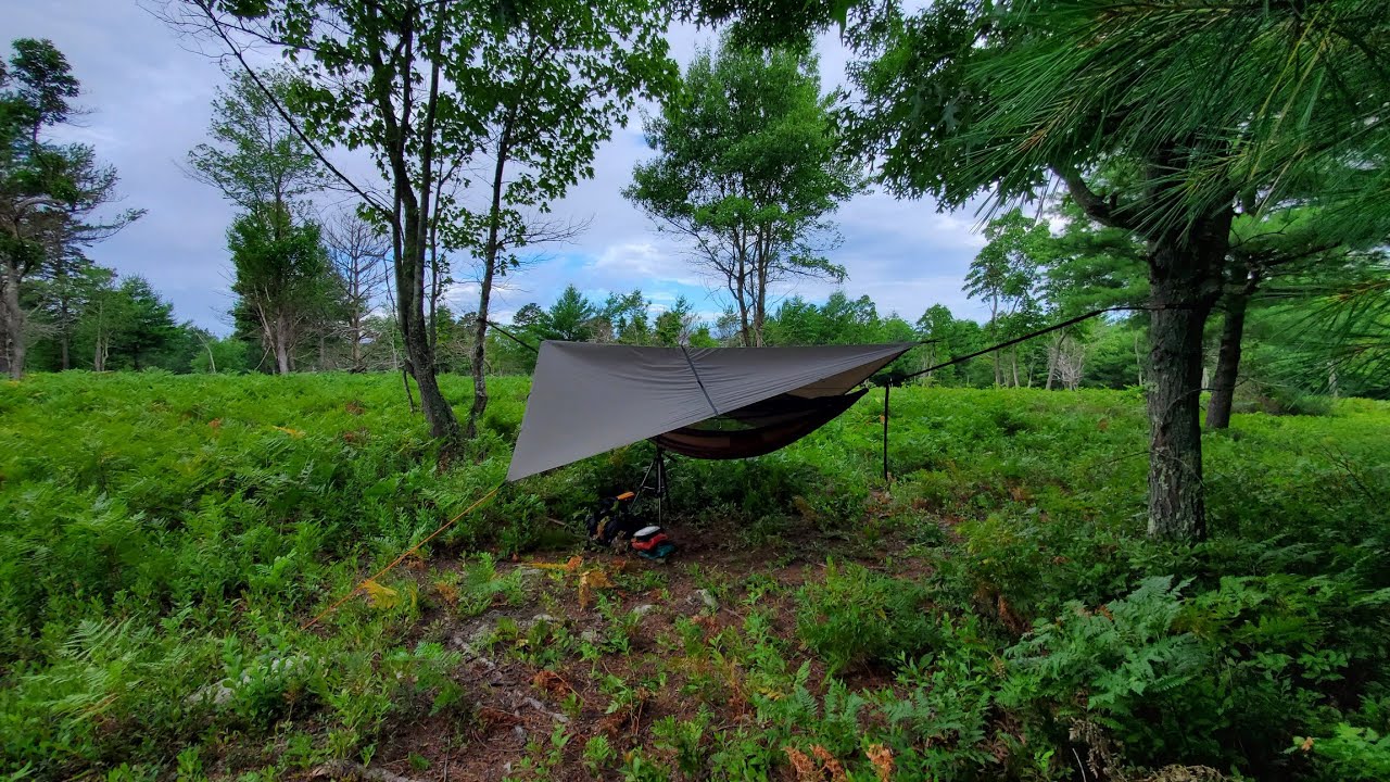 RELAXING DAY CAMP IN A FERN FOREST / TARP AND HAMMOCK / WILL IT RAIN? 🤷 ...