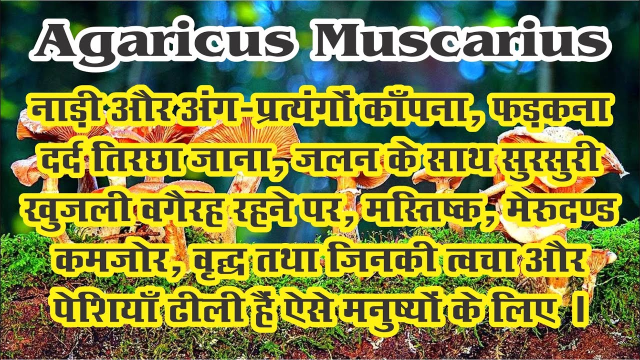 Agaricus Muscarius homeopathic medicine #By Dr N C Ghosh - YouTube