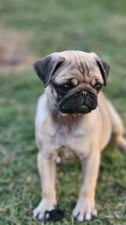 July 13, 2025 - YouTube