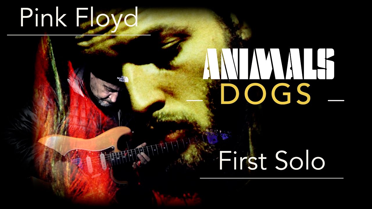 Dogs - Pink Floyd - First Guitar Solo (Cover) - YouTube