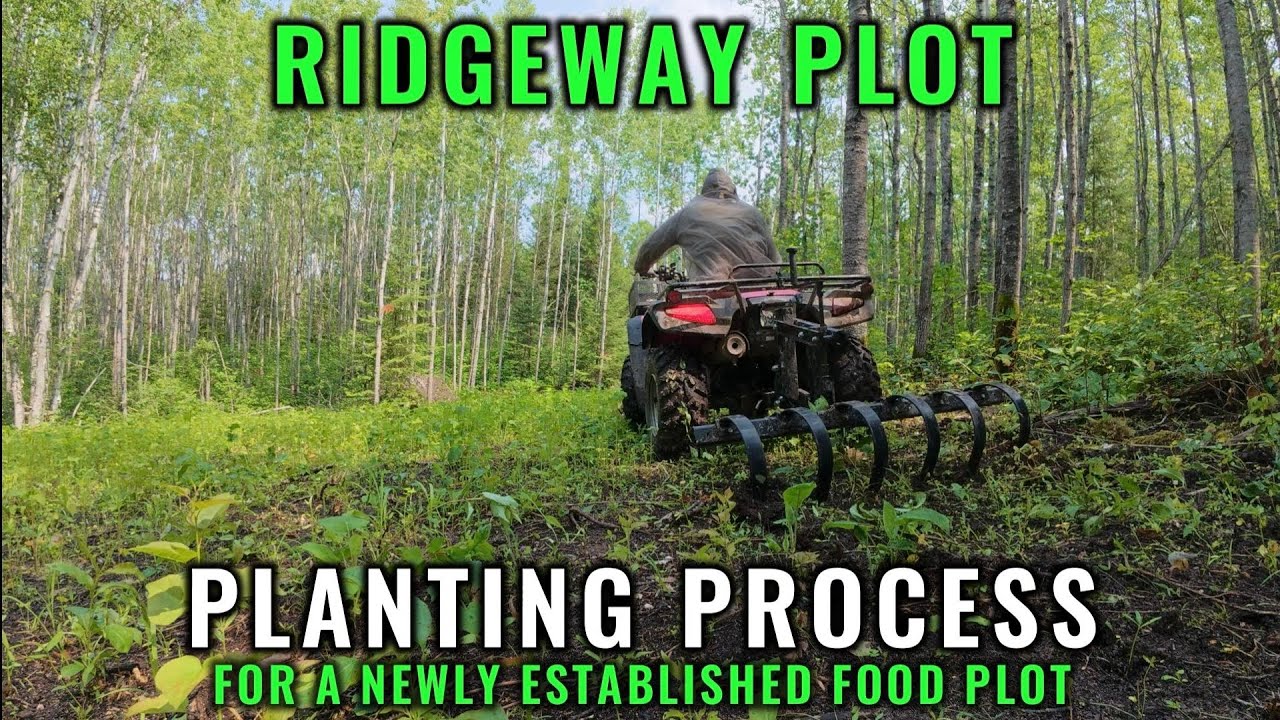 New Food Plot Planting Process - YouTube