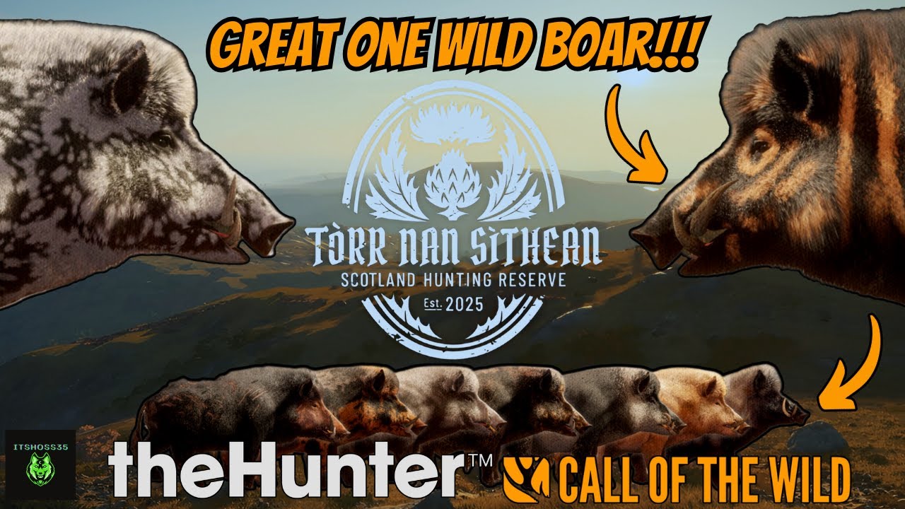 *NEW* ALL 9 Great One Wild Boar Variations REVEALED! | theHunter: Call ...