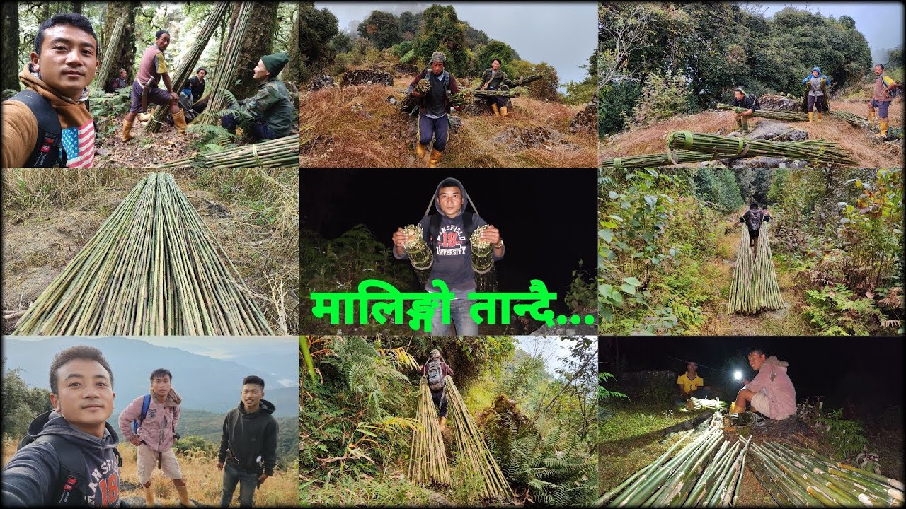 मालिङ्गो तान्ने विधि - Malingo - YouTube