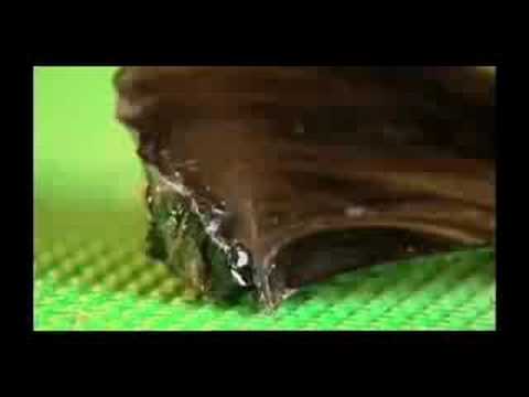 Fabricación y uso de herramientas en primates/ Making and tool use in ...