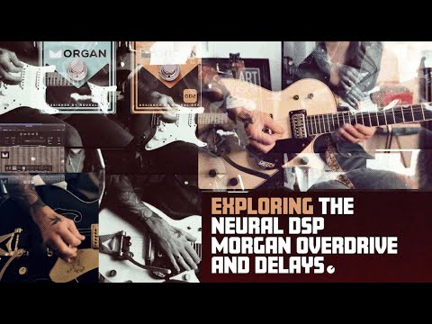 Neural DSP Morgan Amps overdrive and delay plugins - YouTube