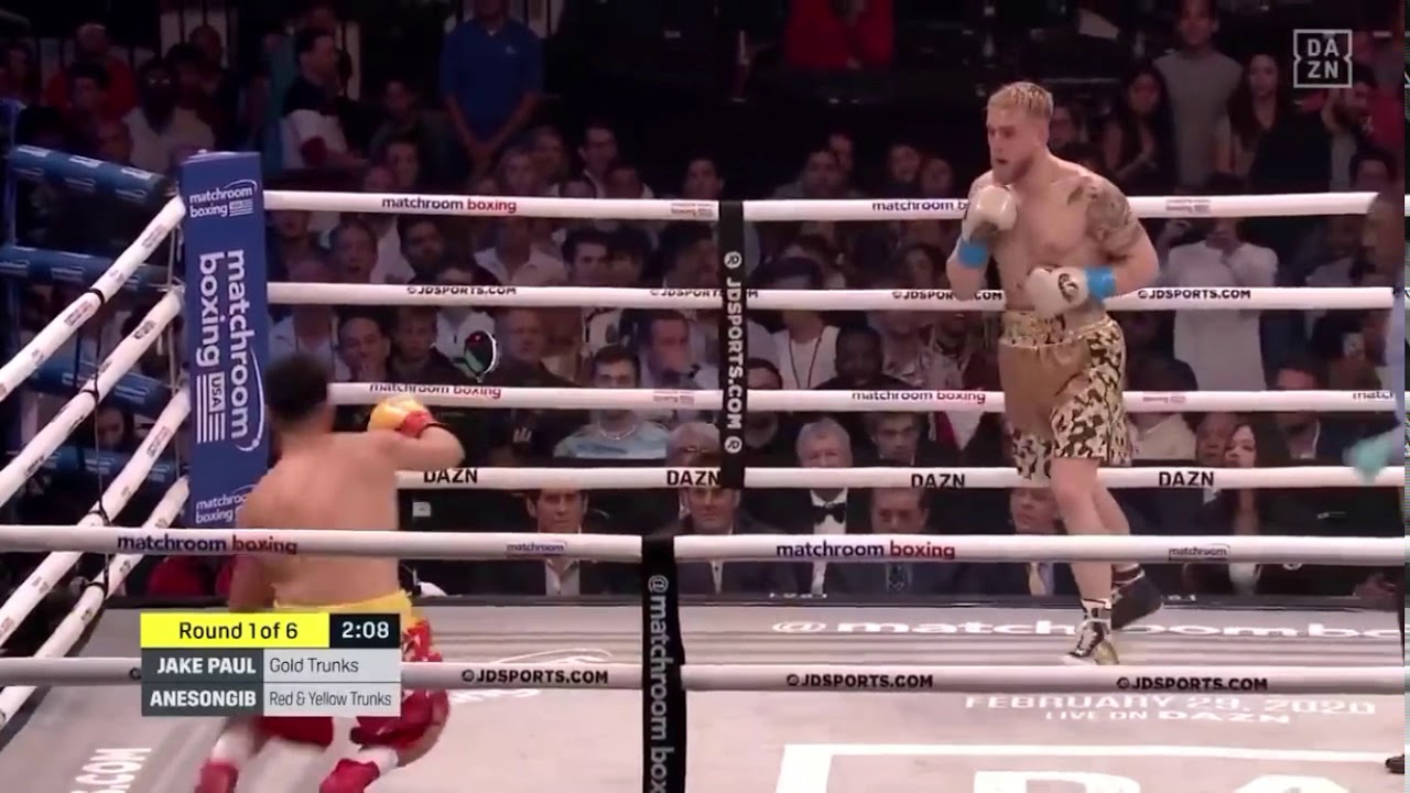 Jake Paul vs Gib *NOT a KnockDown* - YouTube