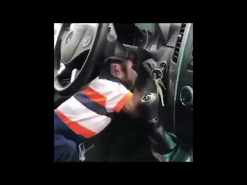 YETENEKLİ MAYMUN ARABAYI KAÇIRIYOR #ÇILGINMAYMUN