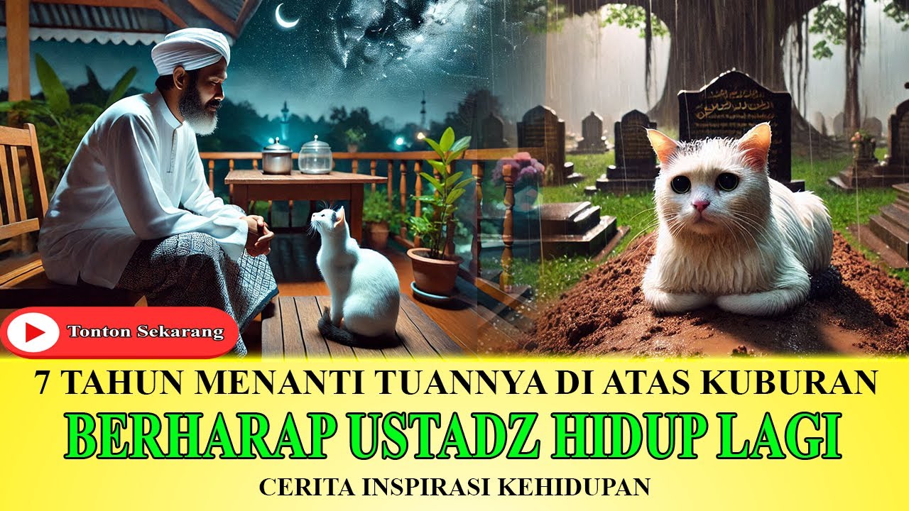 USTADZ PENCINTA KUCING !! 7 Tahun Ditunggu Kucing Di Atas Kuburannya ...