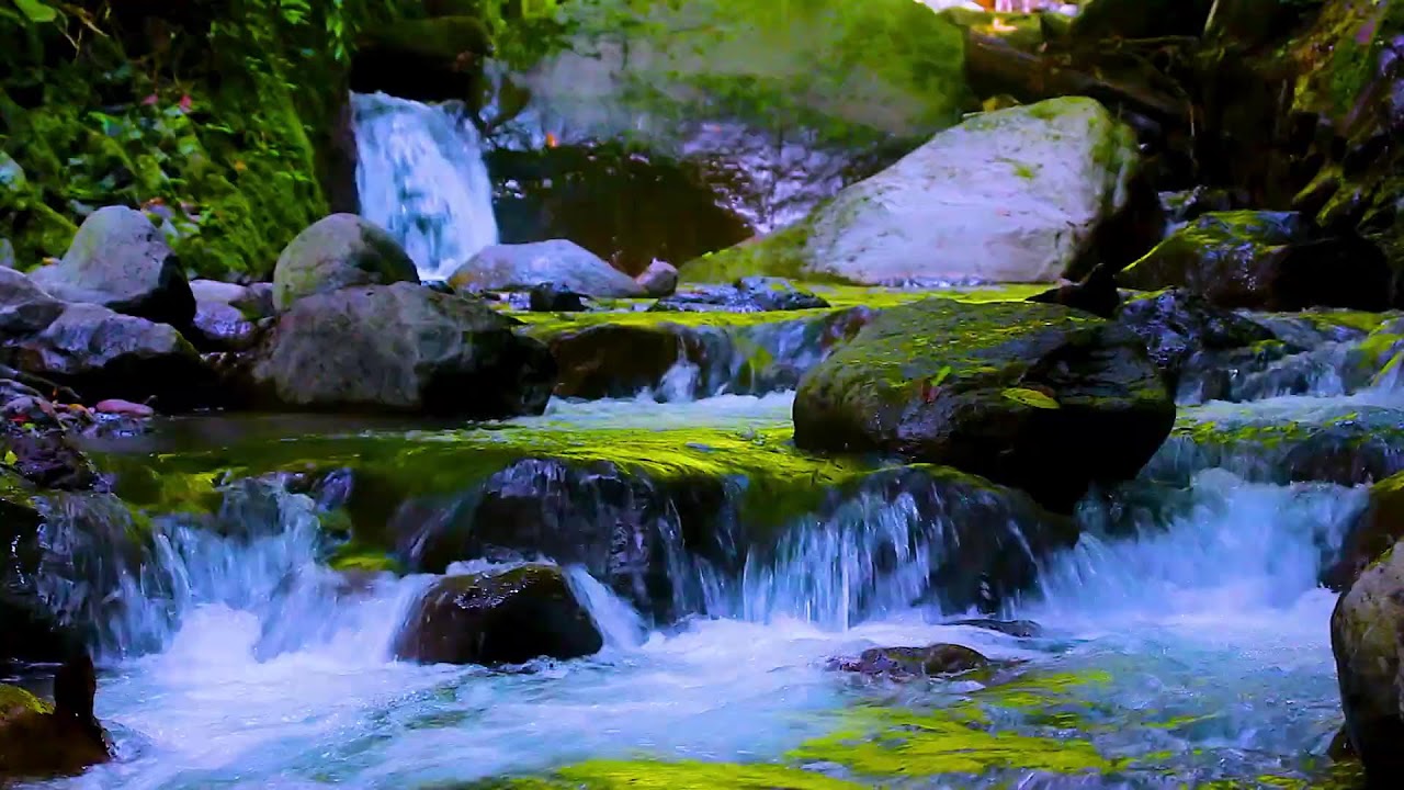 Mountain Stream Soft Nature Flow | Forest Water Sounds & Gentle Sleep ...