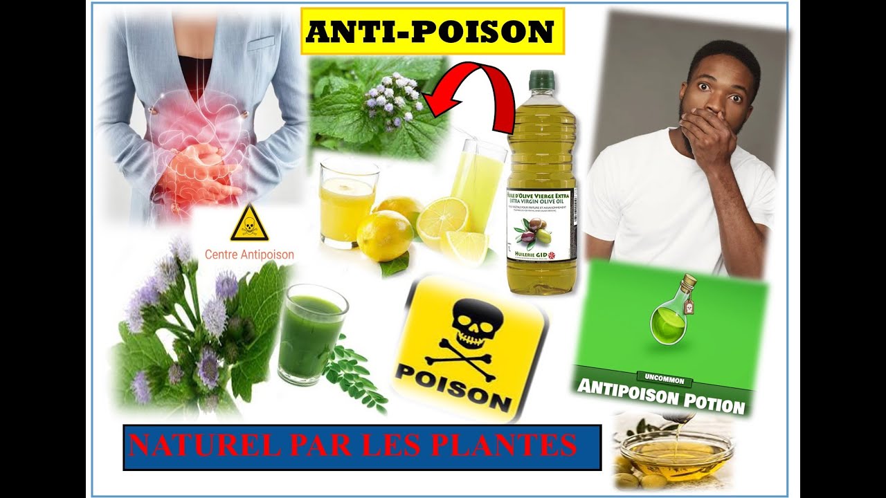LE PLUS PUISSANT ANTI POISON AU MONDE - YouTube