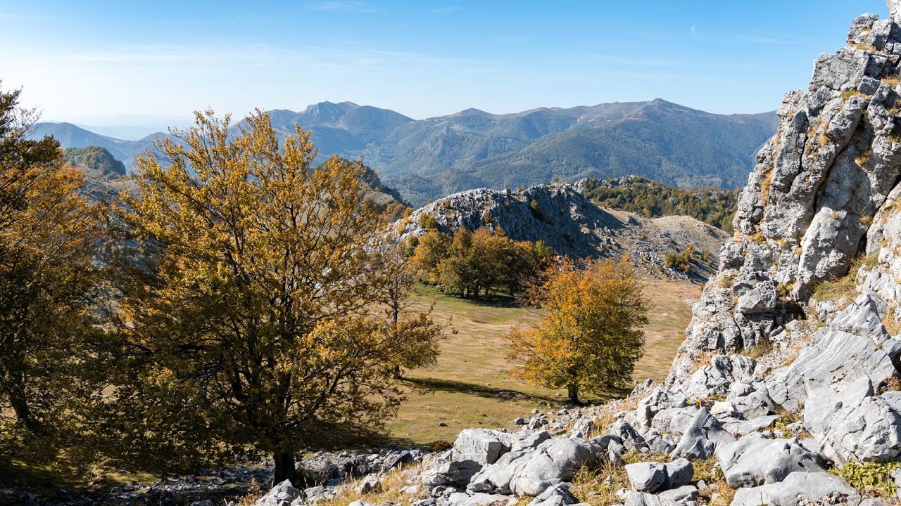 Muntii Mehedinti, Crovuri, Varful Broscan, octombrie 2023 - YouTube