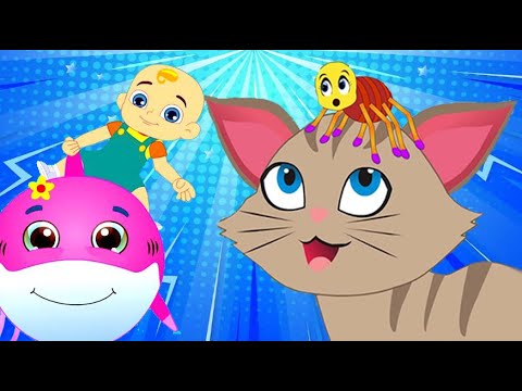 Baby Shark Doo Doo + Old McDonald + Itsy Bitsy Spider INTRO | More ...