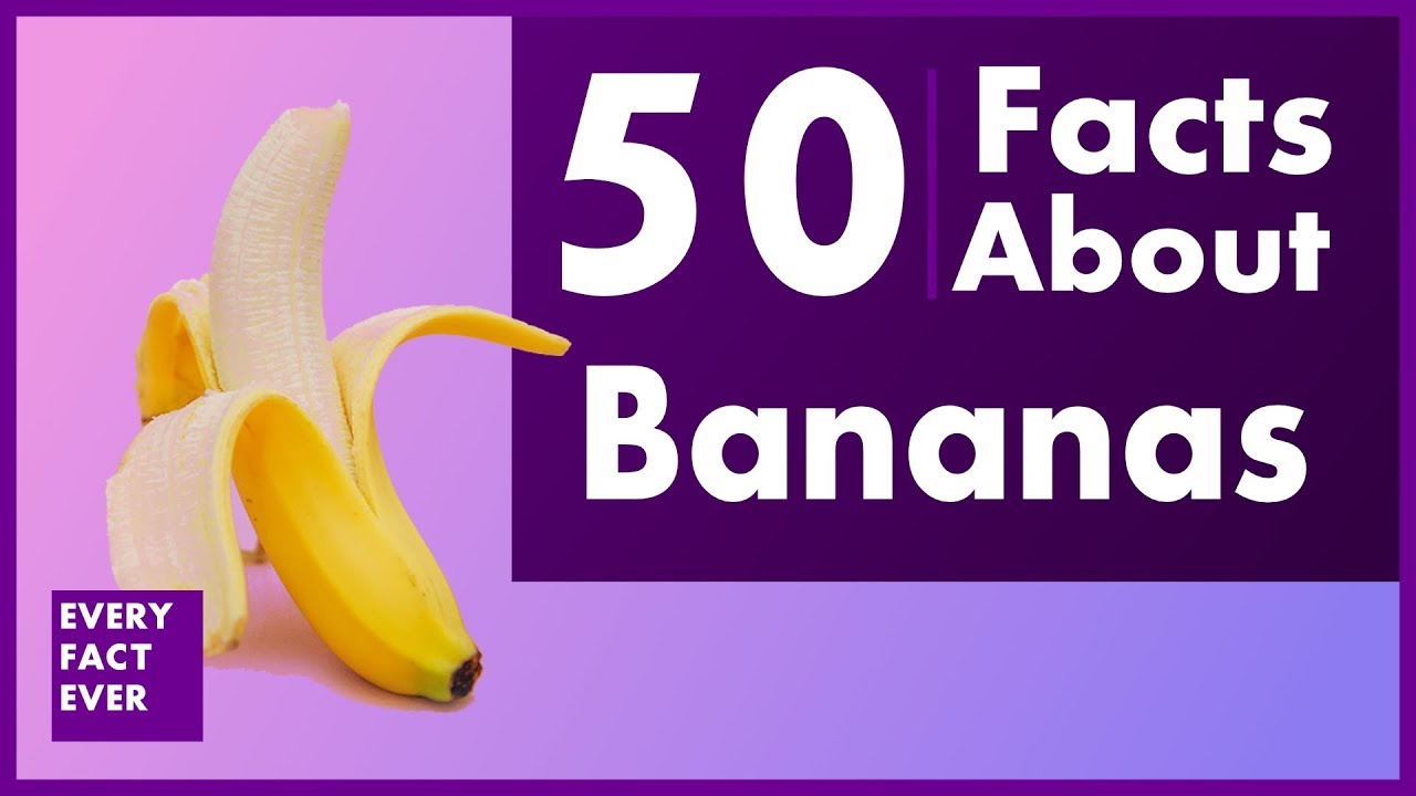 50 Facts About Bananas | Every Fact Ever - YouTube
