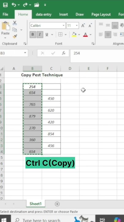 Copy Paste Techniques 🙌🏻 #excel #computereducation #advanceexcelformula #exceltricks - YouTube