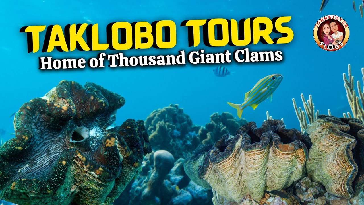 TAKLOBO TOURS Home of Thousand Giant Clams - YouTube