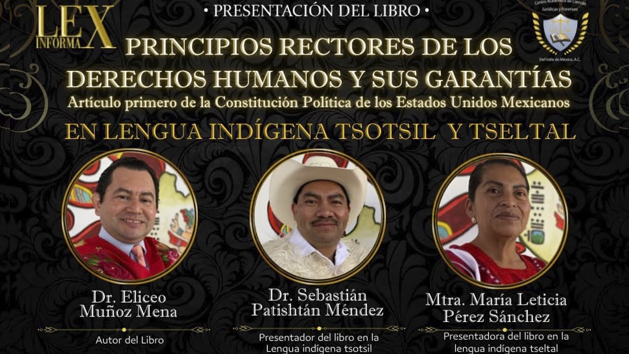 Principios Rectores de los Derechos Humanos y sus Garantías Artículo ...