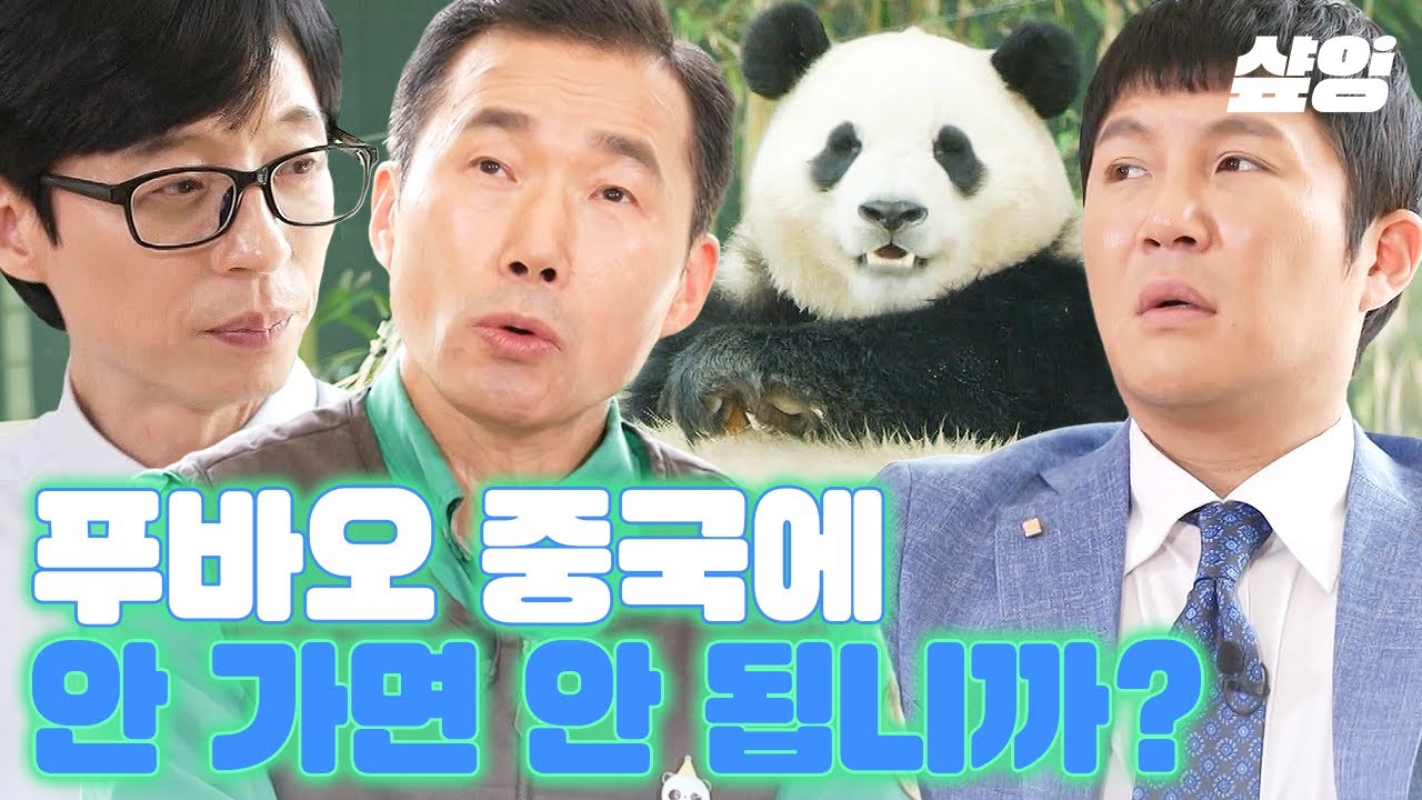 유퀴즈 할아버지 가슴속엔 네가 영원할 거야💖 금지옥엽 푸공주 눈에 아른거려서 어떻게 보내요😢 푸바오가 중국에 가지 않으면 안 되는 가장 큰 이유 Youtube