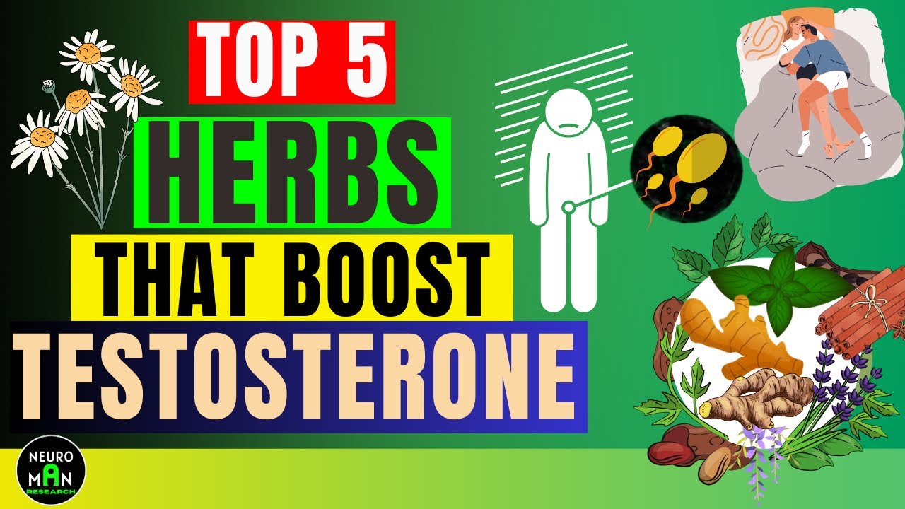 Boosting Mens Health Top 5 Testosterone Enhancing Herbs Youtube