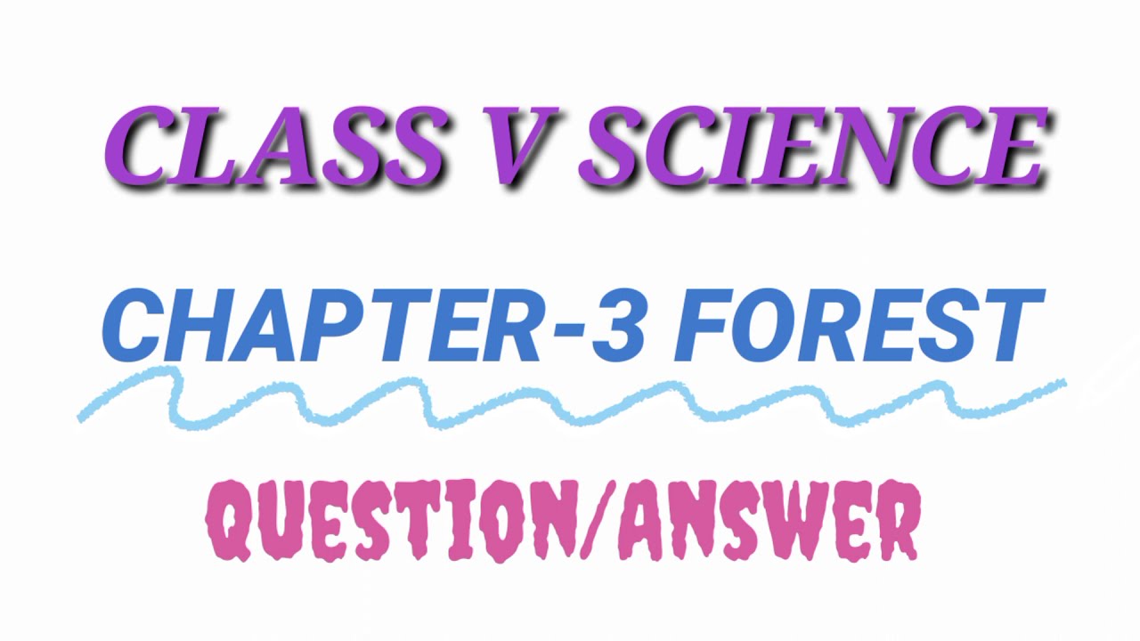 DAV Class 5 Science Chapter 3 Forest Question And Answers YouTube dav-class-5-science-chapter-3-forest-question-and-answers-youtube