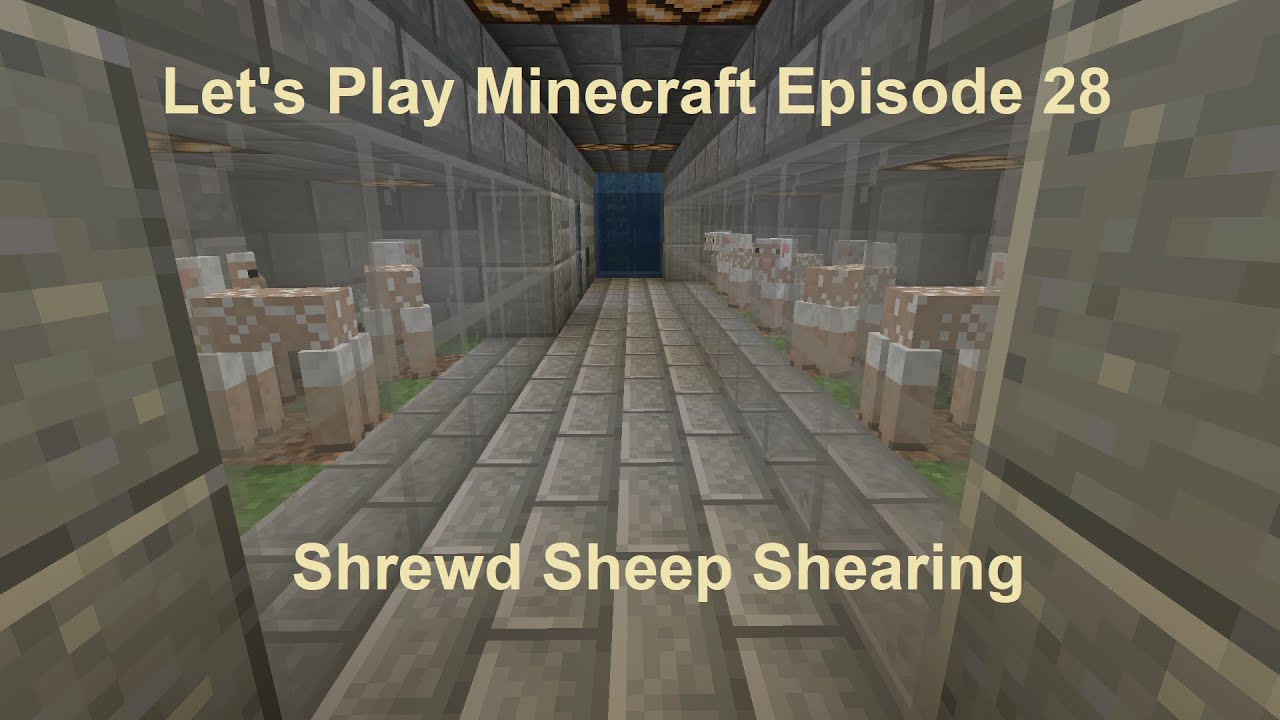 Shrewd Sheep Shearing - Lets Play Minecraft Single Player ep28 - YouTube