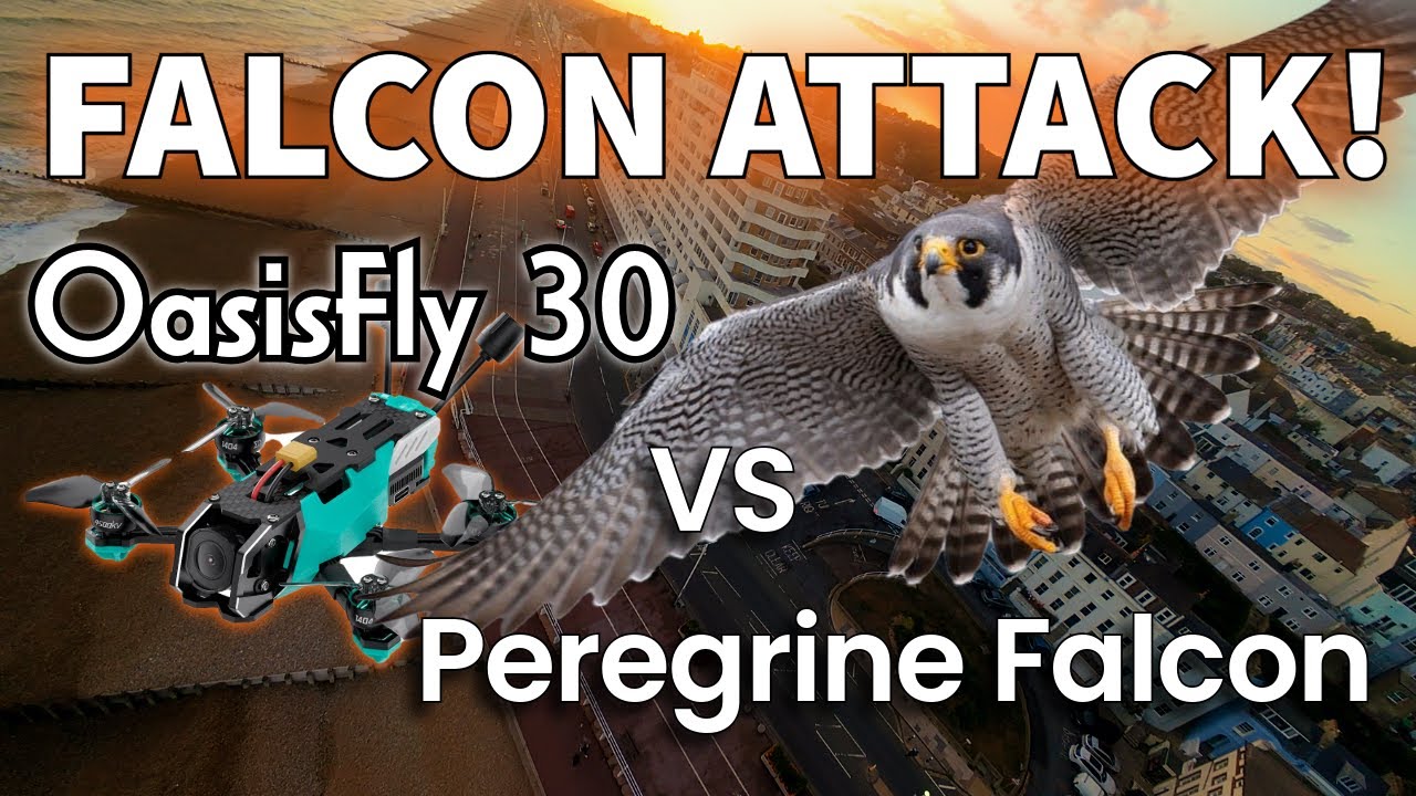 Sub250 FPV | Peregrine Falcon Attack! - YouTube