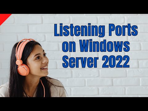 Easily Find Which Process is Listening on Which Port on Windows Server 2022
