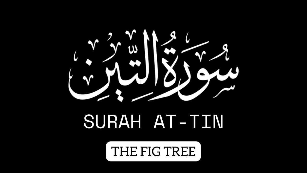 surah tin|quran tilawat|beautiful quran recitation | copyright free ...