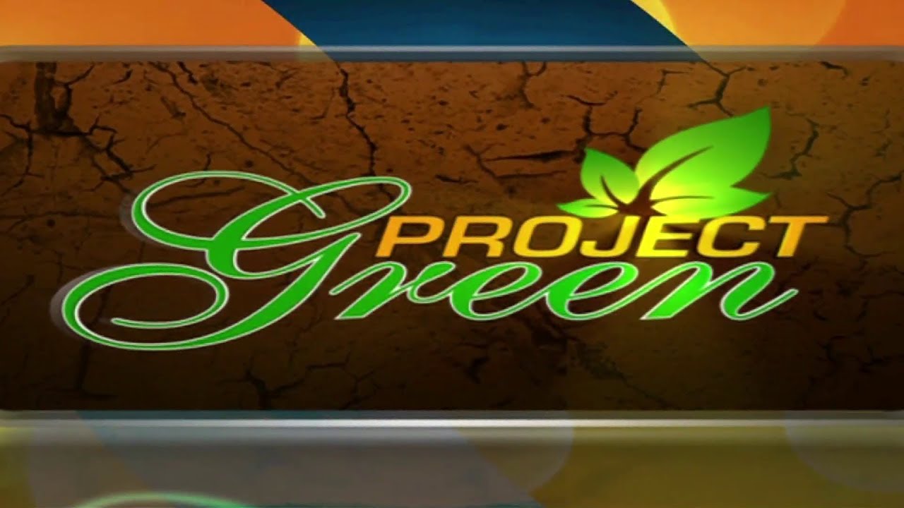 Project Green Episode 3 - Disaster Preparedness - YouTube