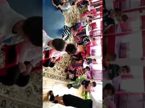 Payiz fesli ve taxil bitkisi mesgelemiz🍁🍂🌾