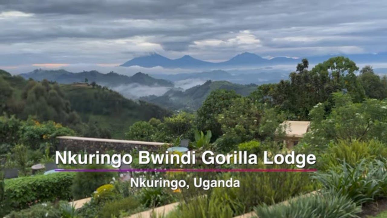 Nkuringo Bwindi Gorilla Lodge, Nkuringo, Uganda - Unravel Travel TV ...