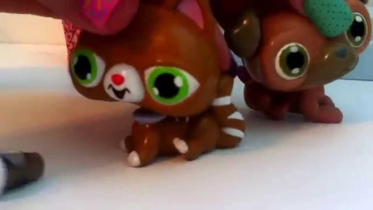 Lps Funniest Home Videos E. 2. Grumpy Cat/ Grumpy Dog - YouTube