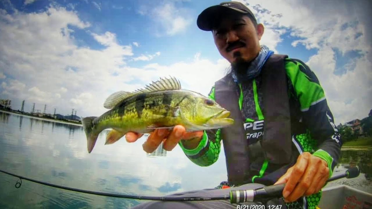 VOL 6: Tasik Prima Peacock Bass on Ultralight | Faizal Nizam Fishing ...