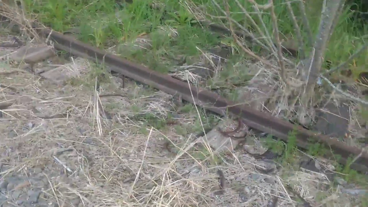 Empalme Fátima vía principal y vía a rojas FCGU - YouTube