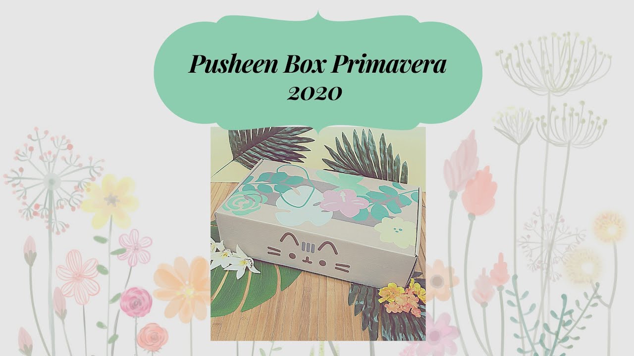 Pusheen Box Spring 2020 - YouTube