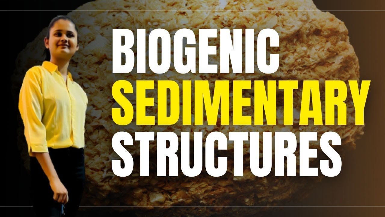 Biogenic sedimentary structure | #biogenic #sedimentary #geology - YouTube