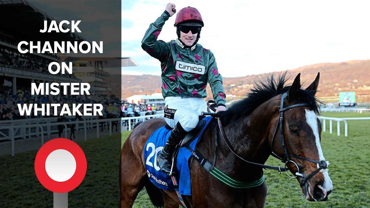 Jack Channon on BetVictor Chase contender Mister Whitaker - YouTube