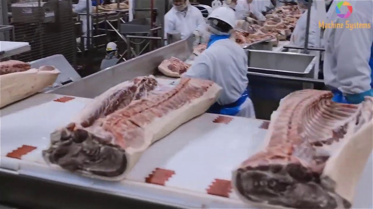 Fastest Modern Food Processing Line Modern Processing Technology in ...