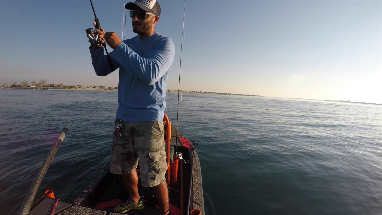 H:SKIFF and a lil Spangled Emperor - YouTube