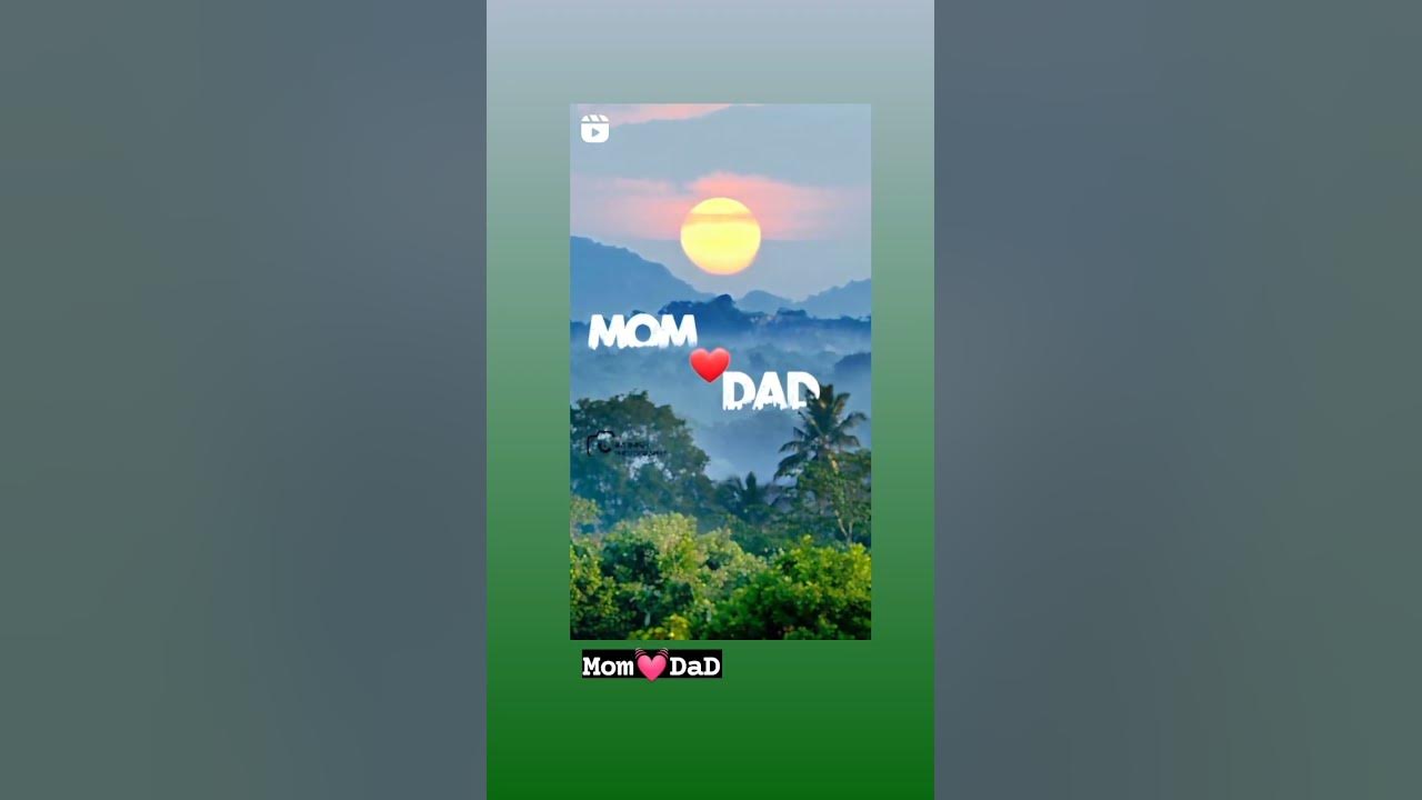 Love You Mom Dad 💓 Youtube