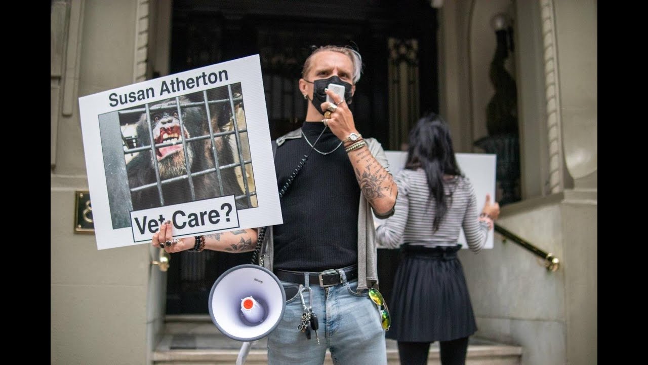 Animal Rights Activists Stage Chimp Protest at Home of HSUS Board Chair ...