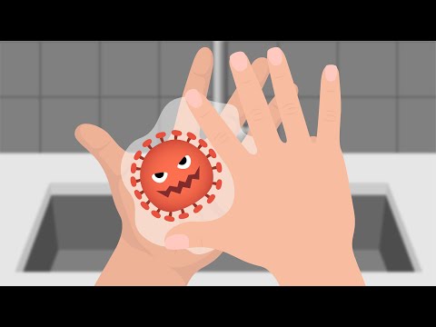 When Should We Wash Our Hand